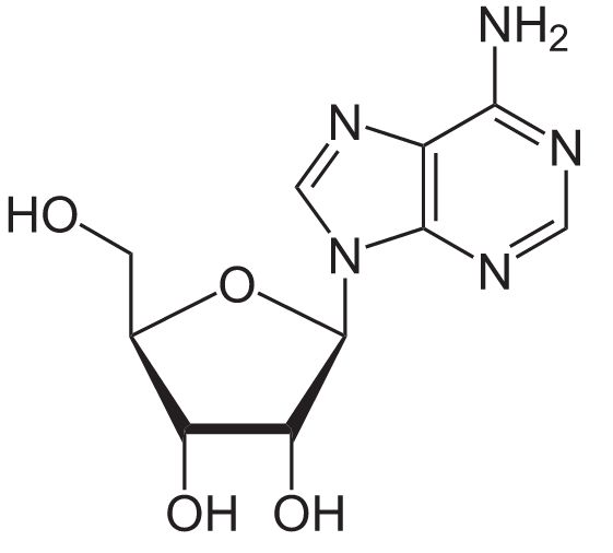 Adenosine Monophosphate | SIELC